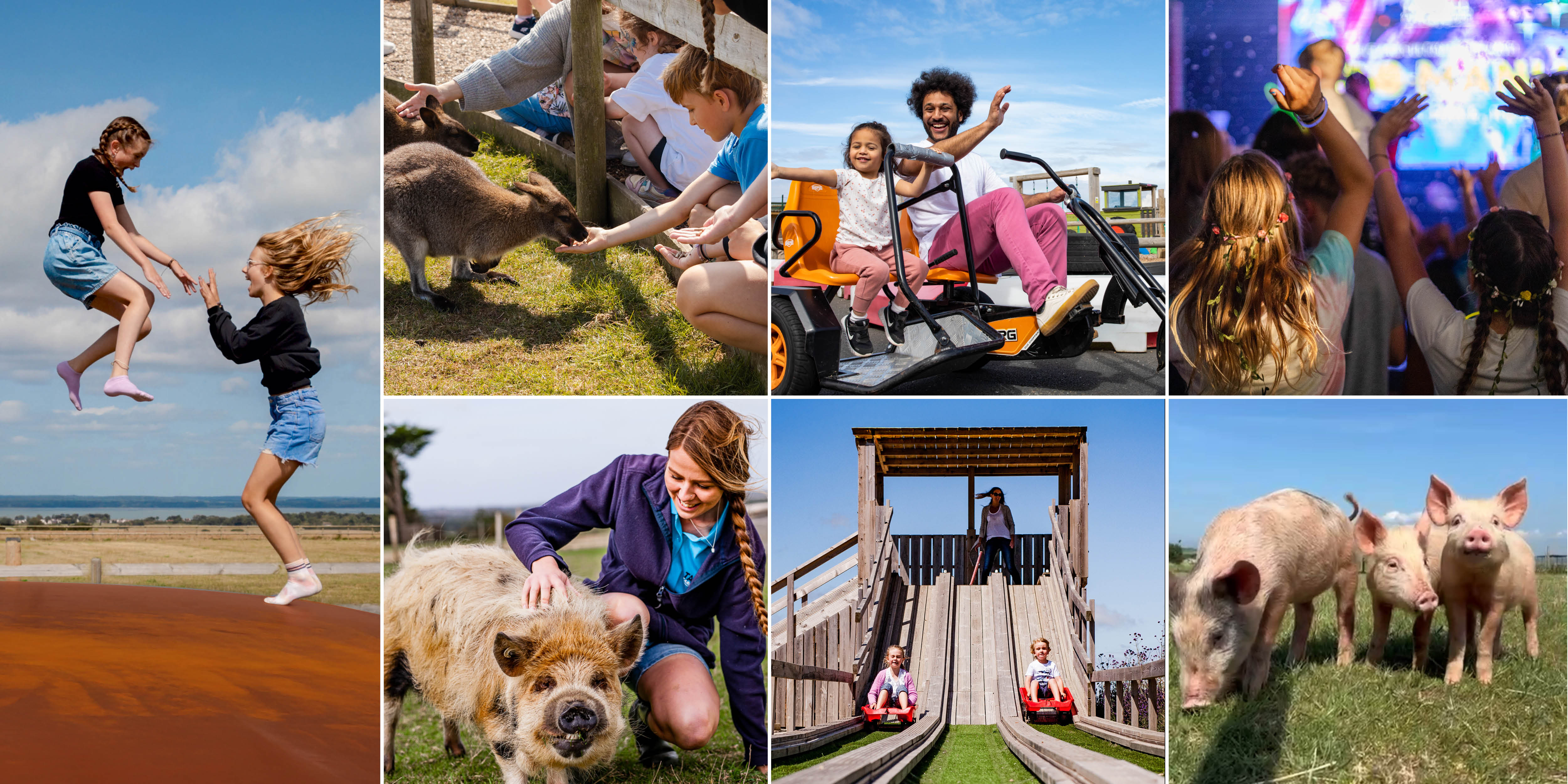 Tapnell Farm Park | Hovertravel | Isle of Wight